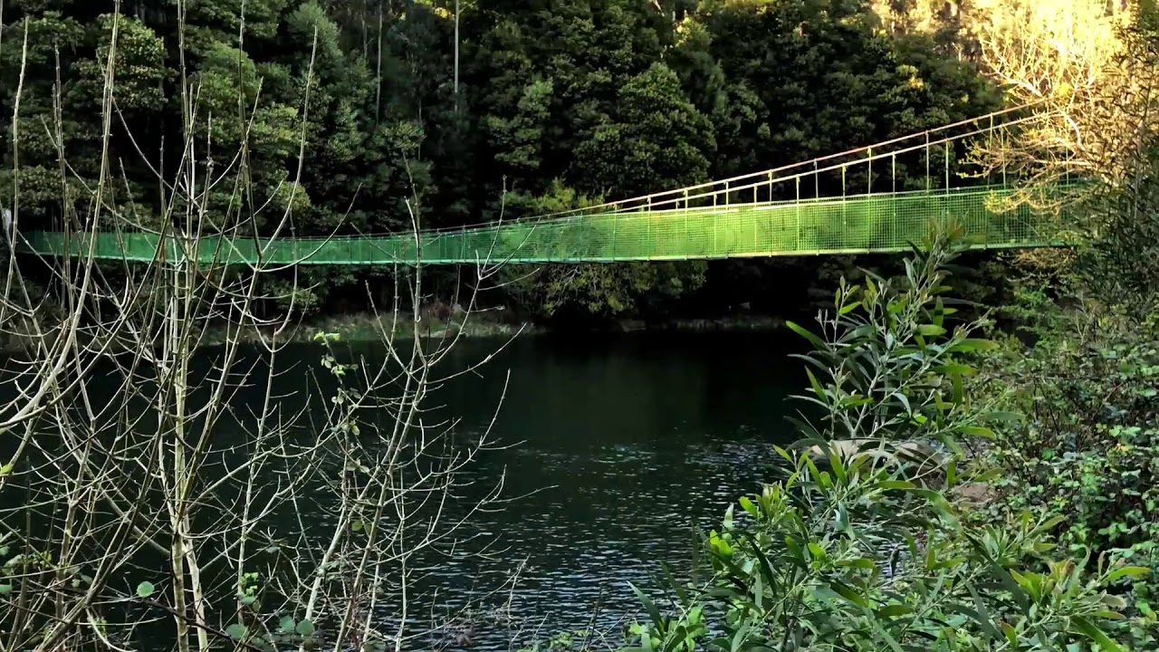 Descubriendo el Polígono do Tambre: Todo lo que debes saber sobre esta ...